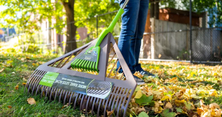 What is the Best Rake for Acorns? - Publicist Paper